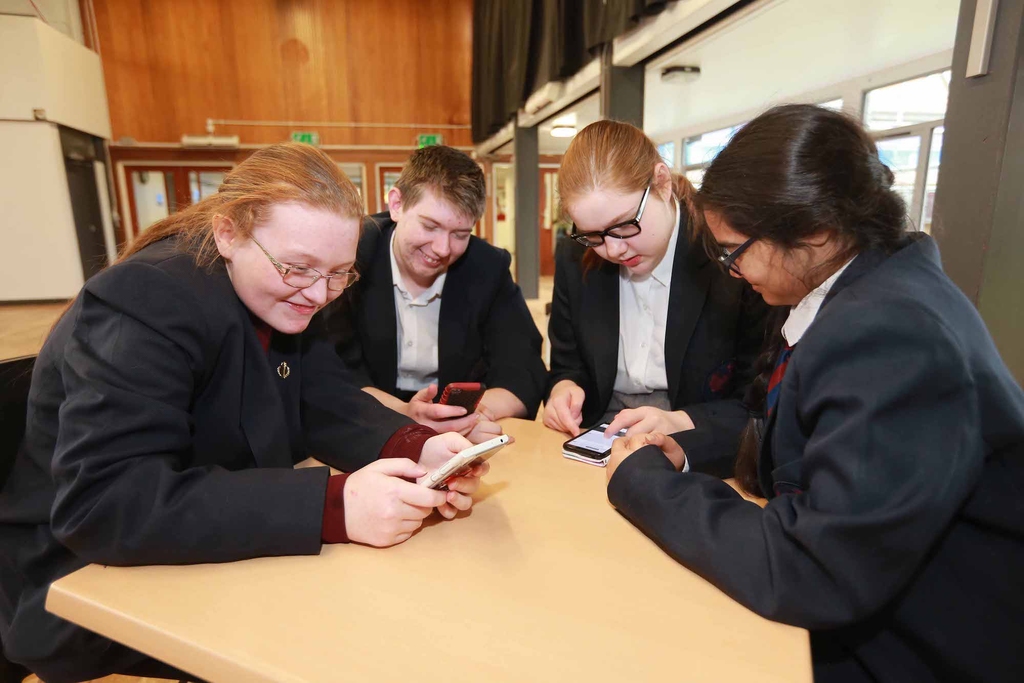 Search Results - Baskerville School